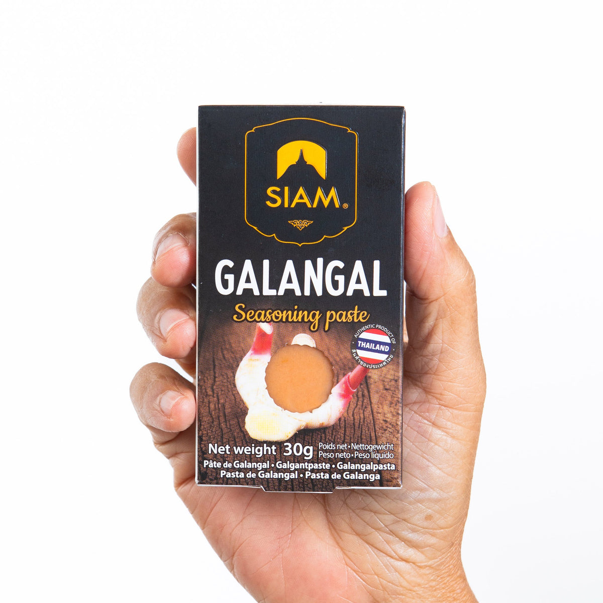 GALANGAL PASTE – deSIAMCuisine (Thailand) Co Ltd